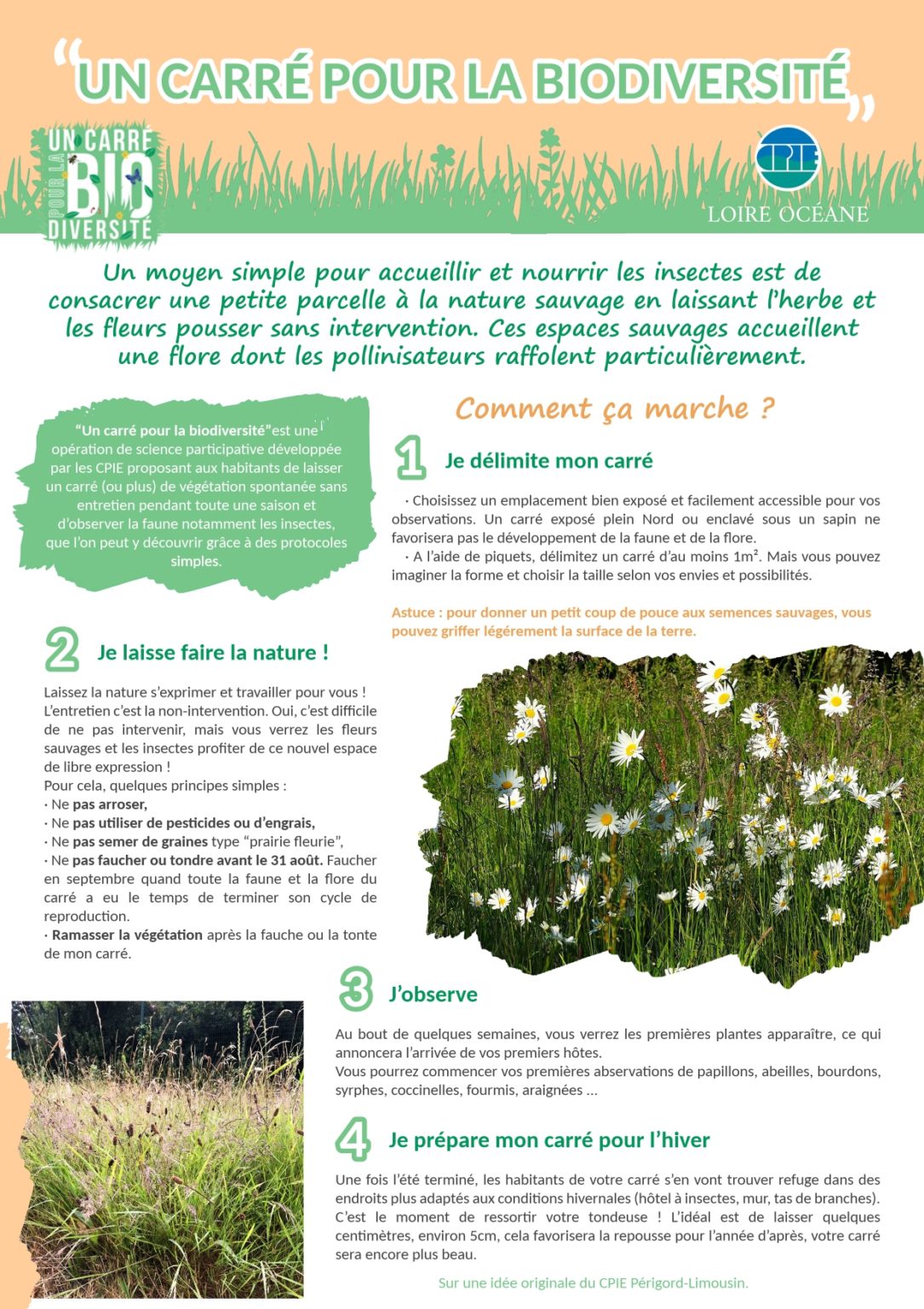 Un carré pour la biodiversité – CPIE Loire Océane